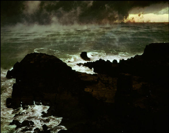 Today's Pictures: Fifty Years of Photography 1930-1981